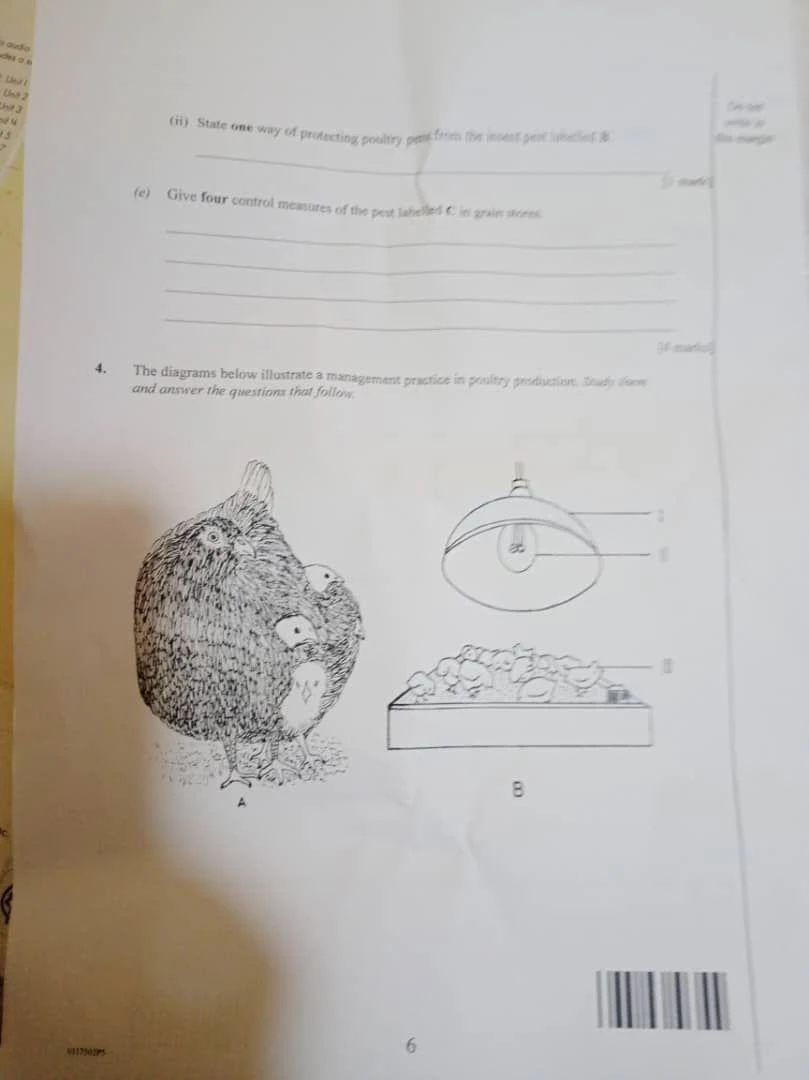 2025 WAEC GCE Agricultural Science Practical Questions and Answers