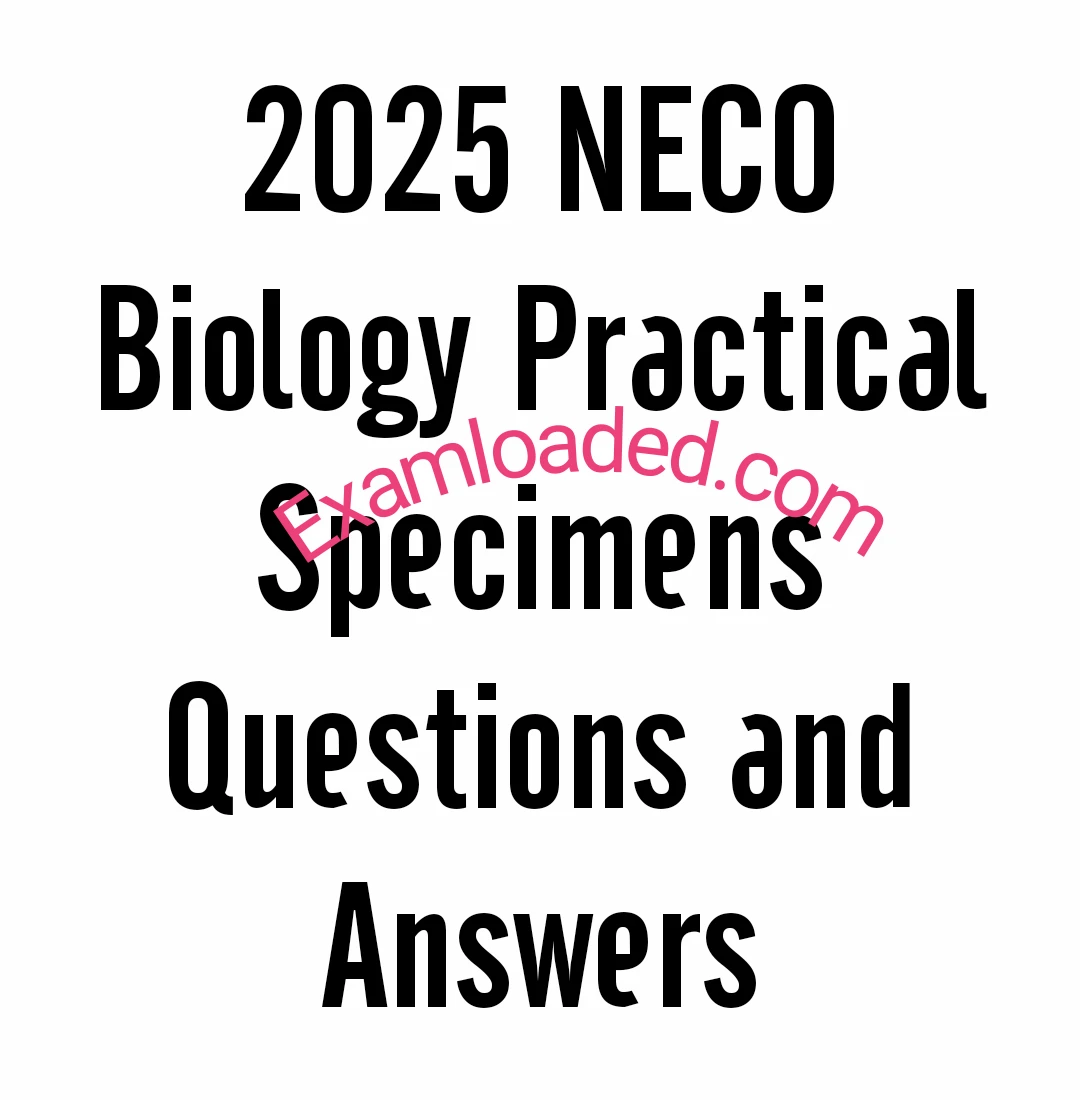 2025 NECO Biology Practical Specimens Questions and Answers Ready