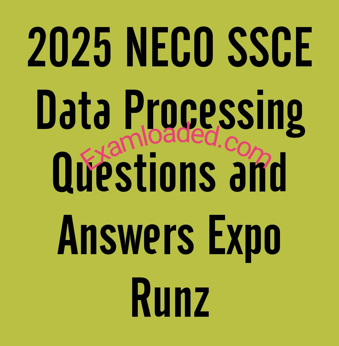 2025 NECO Data Processing Questions and Answers Expo is Ready Now