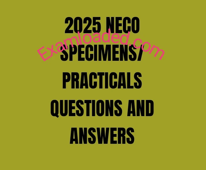 2025 NECO SPECIMENS PRACTICALS QUESTIONS AND ANSWERS READY NOW